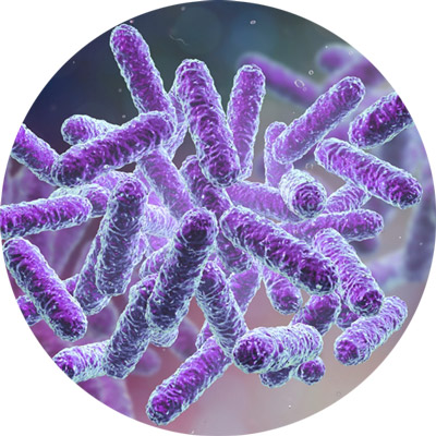 3Biome: Natural Probiotic Formula | Nutreance
