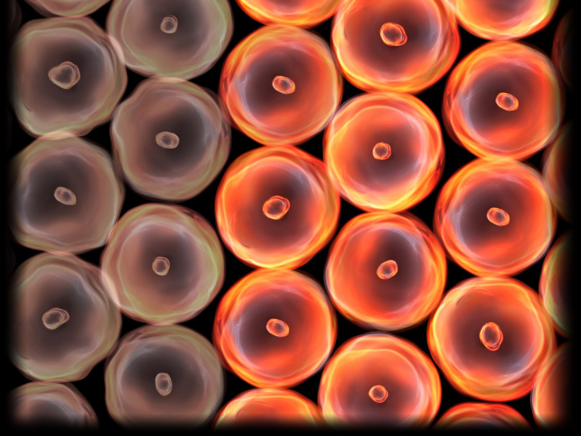 3Biome: Natural Probiotic Formula | Nutreance