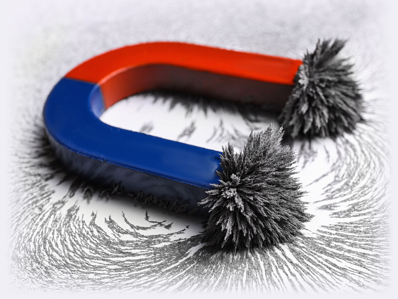 Allogard: Natural Detox Formula | Nutreance