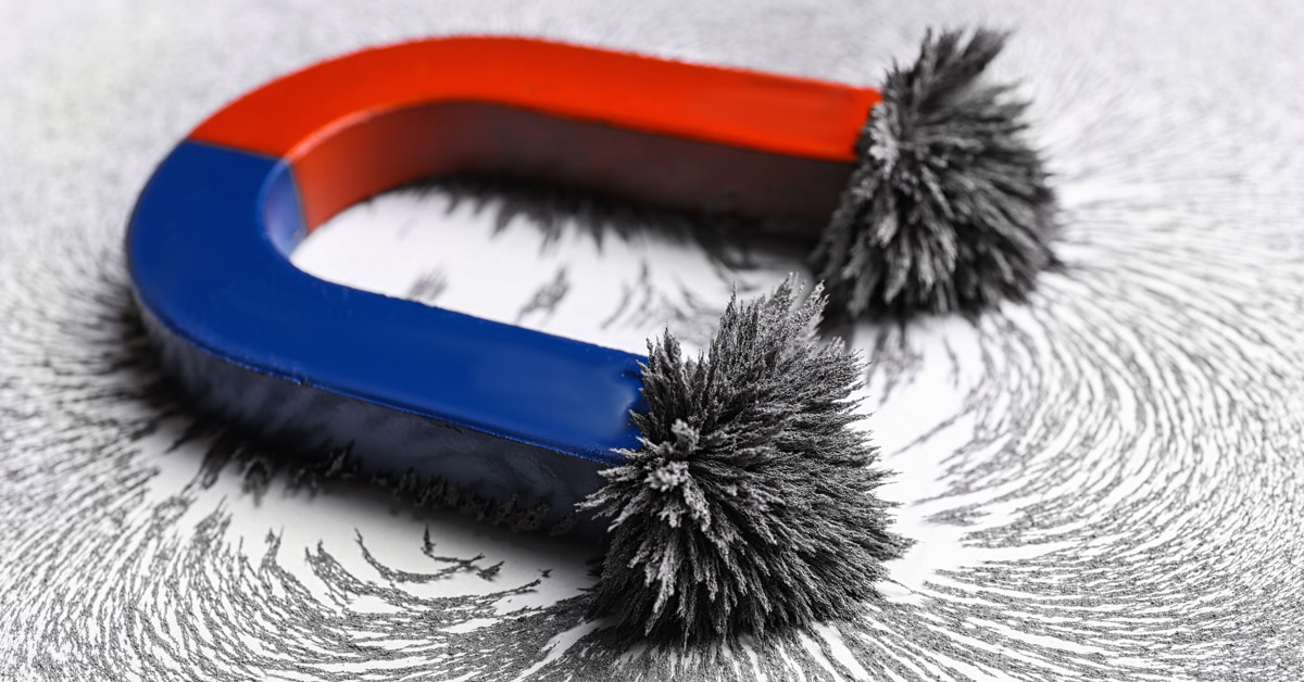 Allogard: Natural Detox Formula | Nutreance