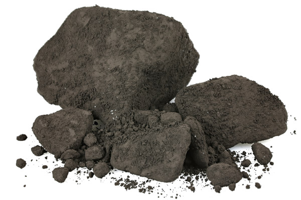 Calciven: Natural Bone Support | Nutreance