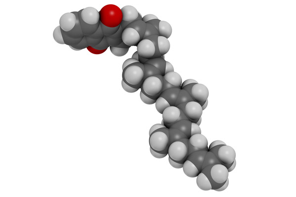 Calciven: Natural Bone Support | Nutreance