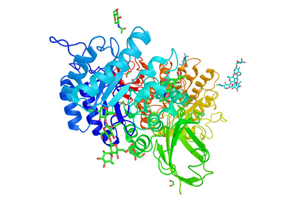ElevenZyme: Digestive Enzyme Formula | Nutreance