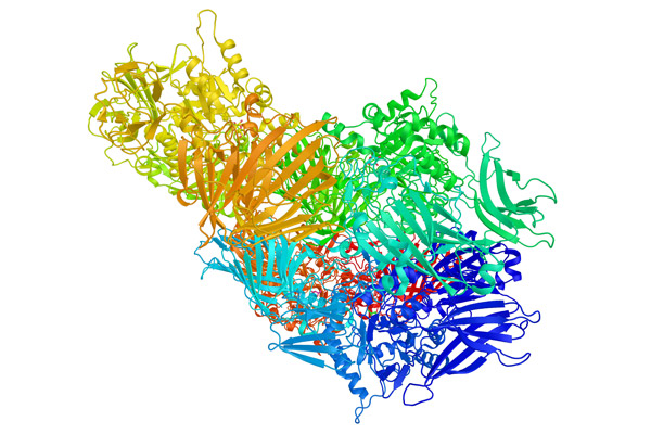 ElevenZyme: Digestive Enzyme Formula | Nutreance