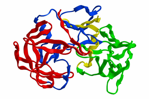 ElevenZyme: Digestive Enzyme Formula | Nutreance