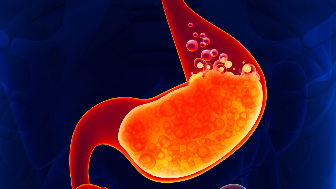 ElevenZyme: Digestive Enzyme Formula | Nutreance