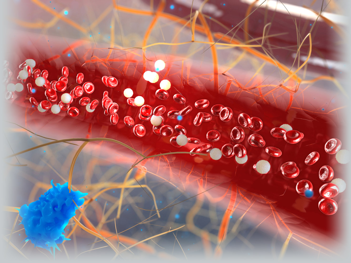 Glucoven: Natural Blood Sugar Support | Nutreance