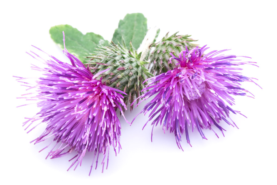 Hepaclear: Natural Liver Support | Nutreance