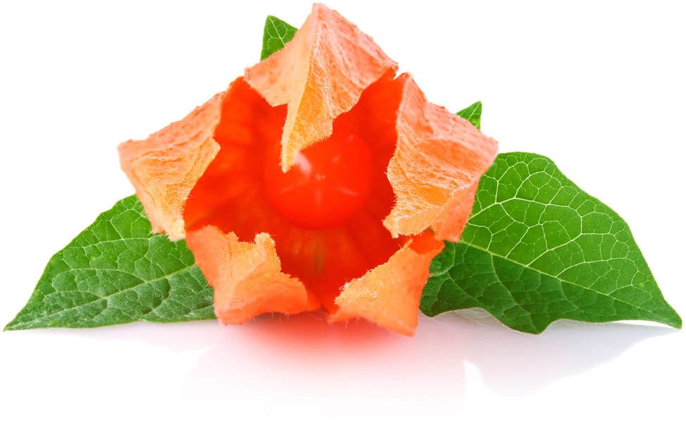 RediCalm: Natural Stress Relief | Nutreance