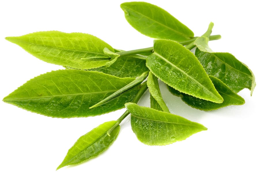 RediCalm: Natural Stress Relief | Nutreance