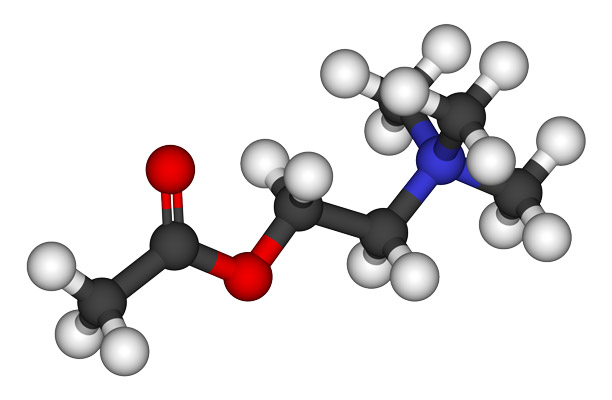 RediMind: Natural Cognitive Enhancer | Nutreance