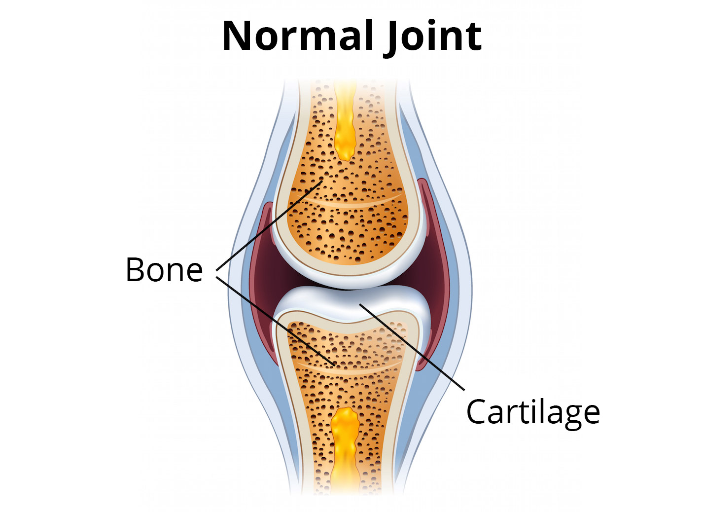 RediMove: Natural Joint Support | Nutreance