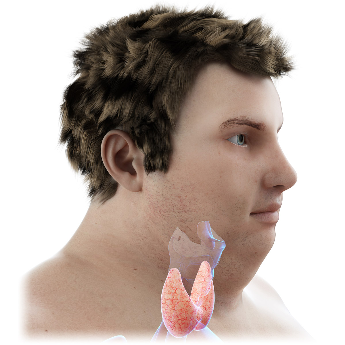 15 Question Underactive Thyroid Quiz | Nutreance