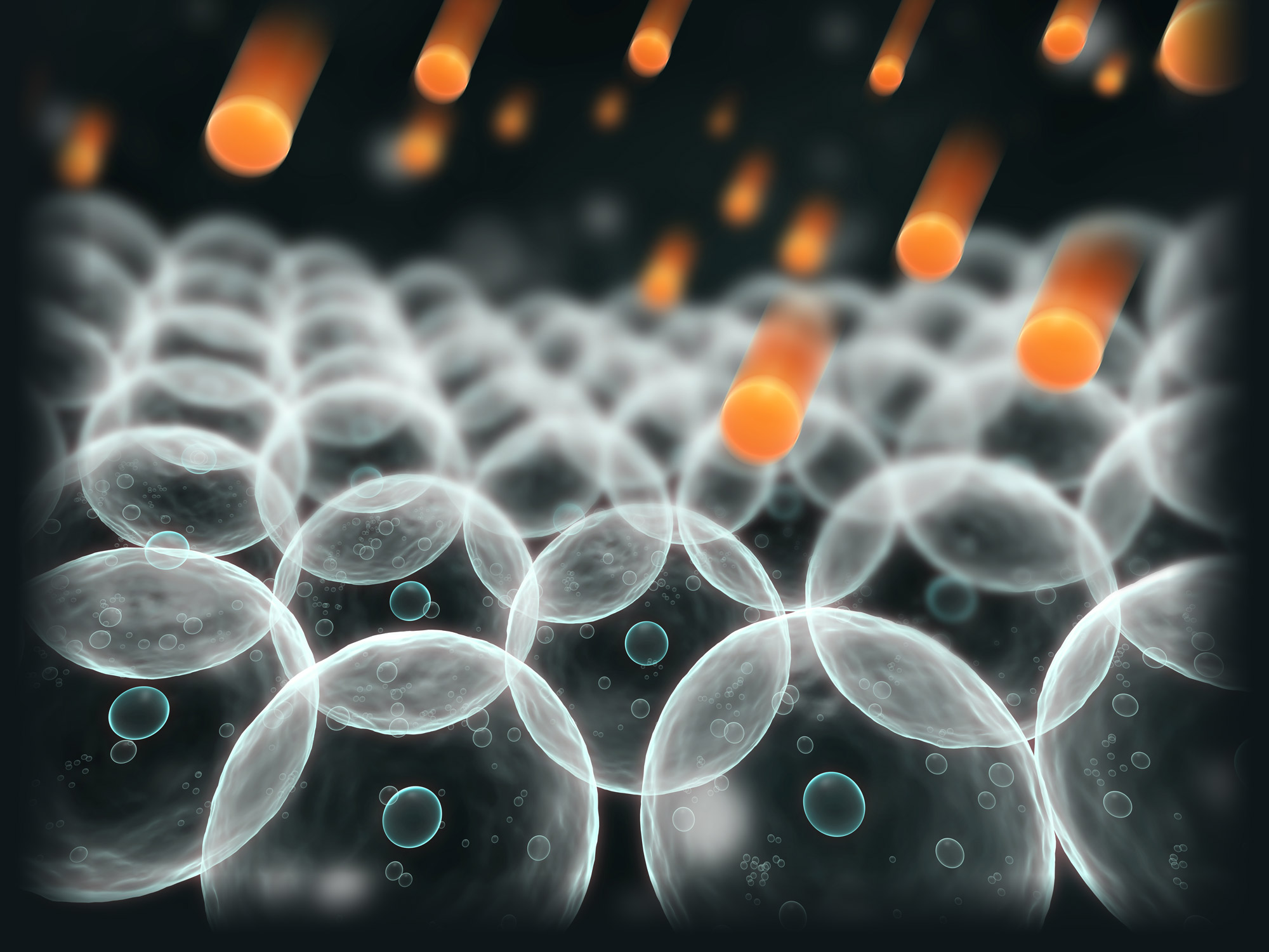 Visigard: Natural Eye & Vision Formula | Nutreance