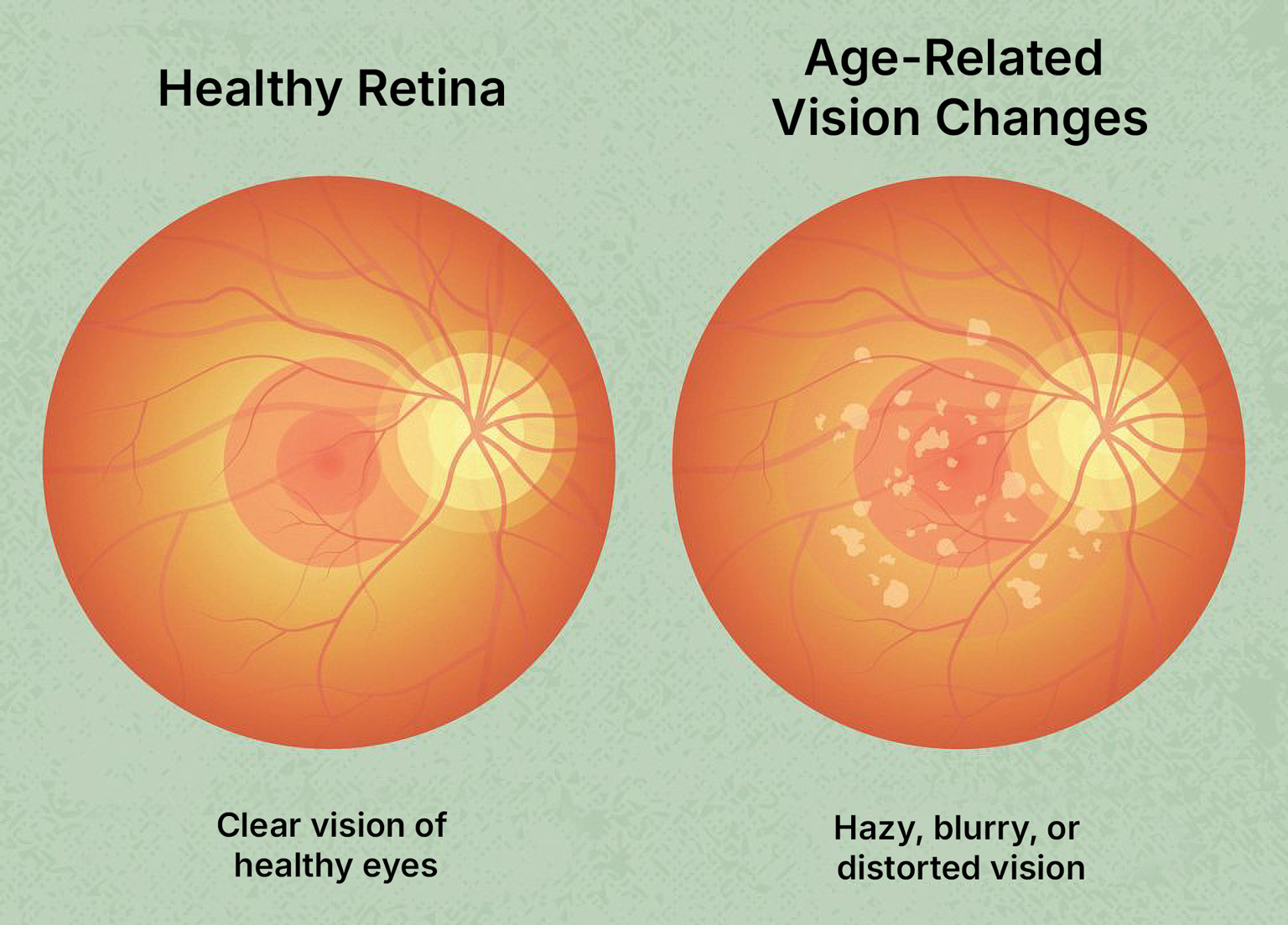 How Visigard Works | Nutreance