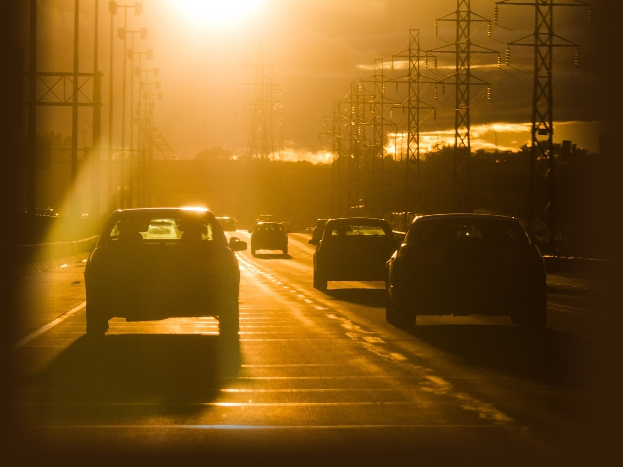 Visigard: Natural Eye & Vision Formula | Nutreance